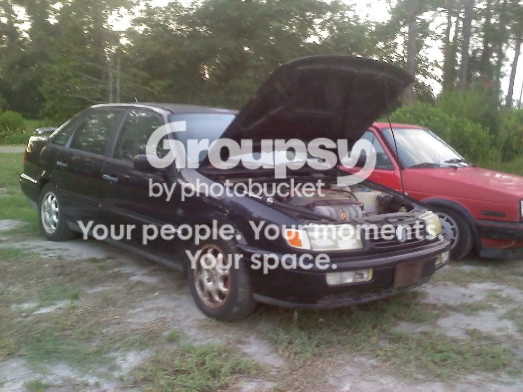 FS: 86 Jetta GLI Pirelli Edition - South GA | VW Vortex - Volkswagen Forum