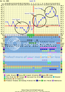 Triphasic Chart Examples
